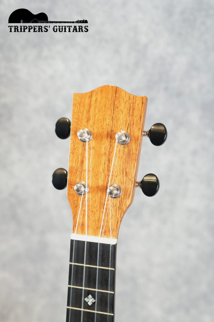 OTS LAB US-KOA (NEW) - Trippers' Guitars