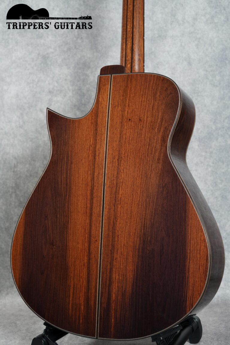 Wai Wong & OTS LAB MD Cutaway (2024) - Trippers' Guitars