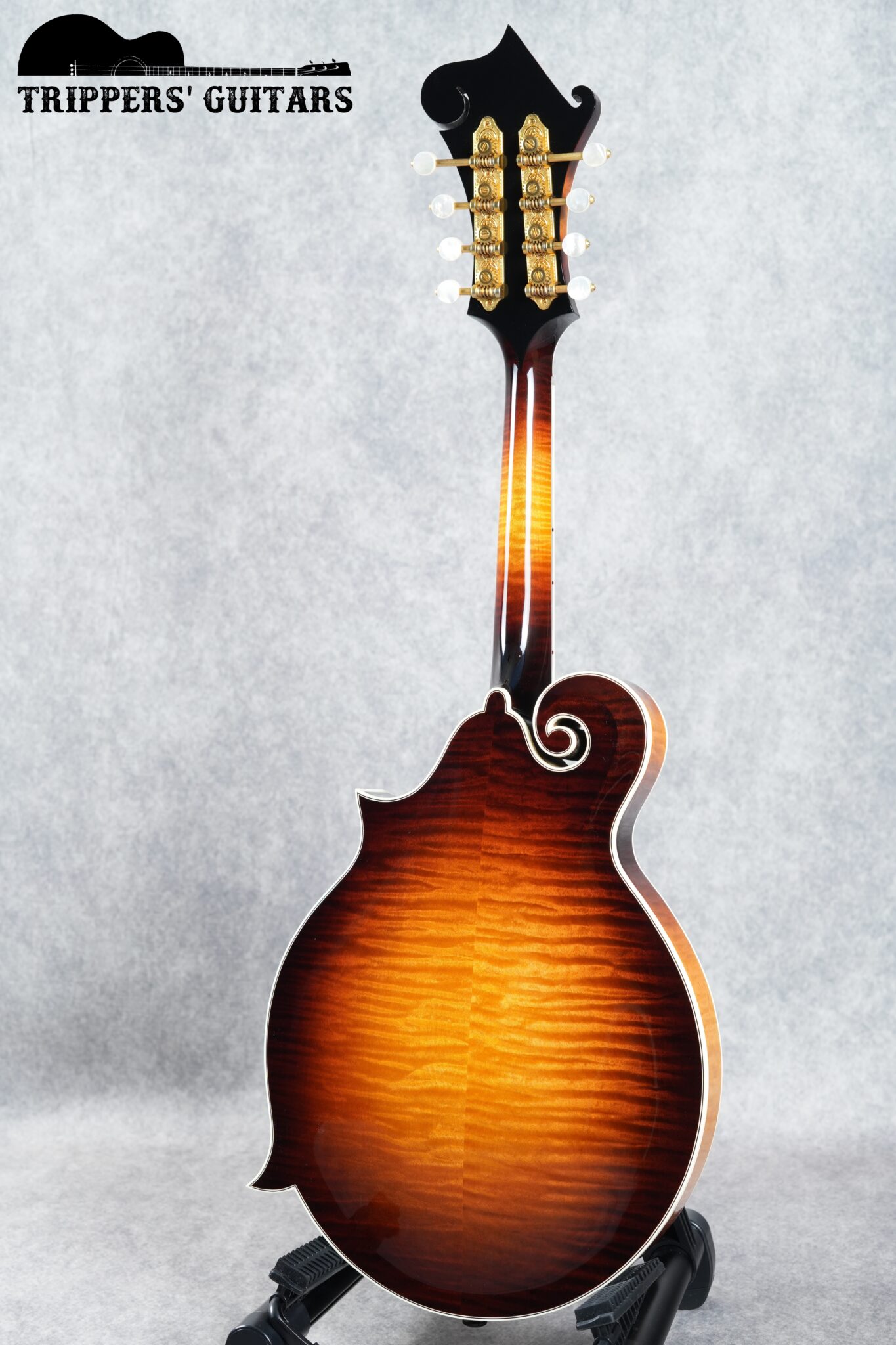 Gibson Master Model F-5 Fern (2017) - Trippers' Guitars